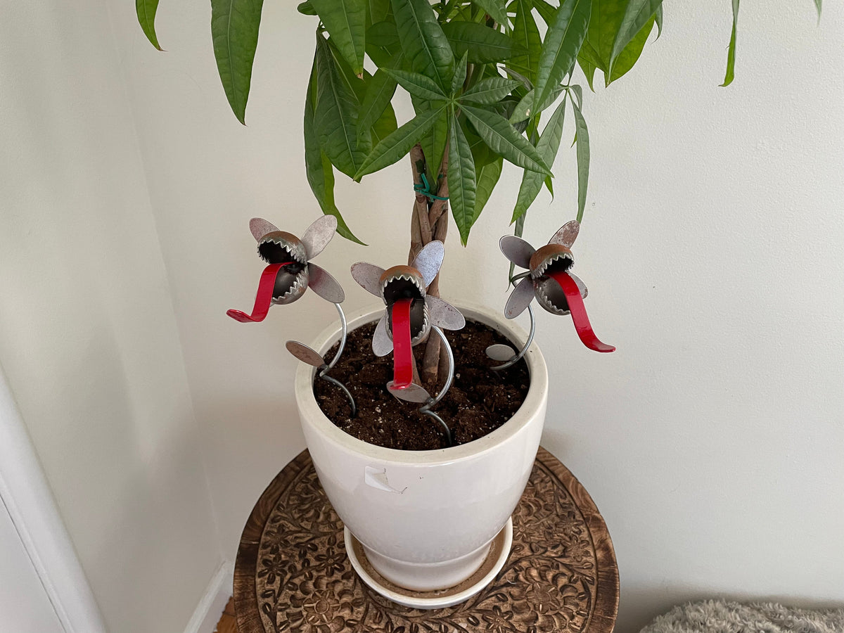 Small Venus Fly Trap Garden Sculpture by Artist Fred Conlon of Sugarpo ...